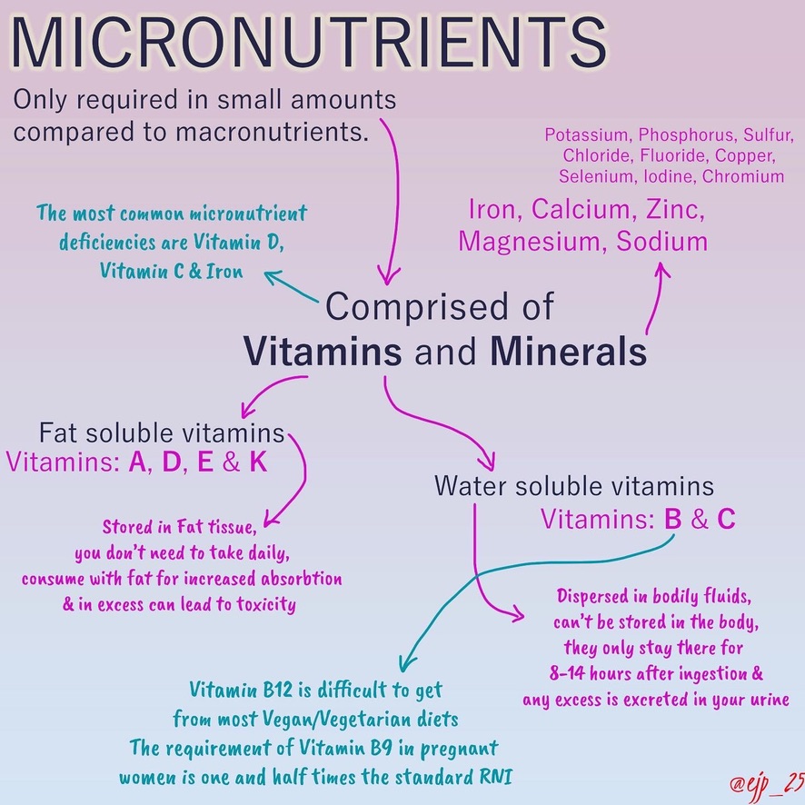 Micronutrients | Vitamins & Minerals | EJP Nutrition Blog