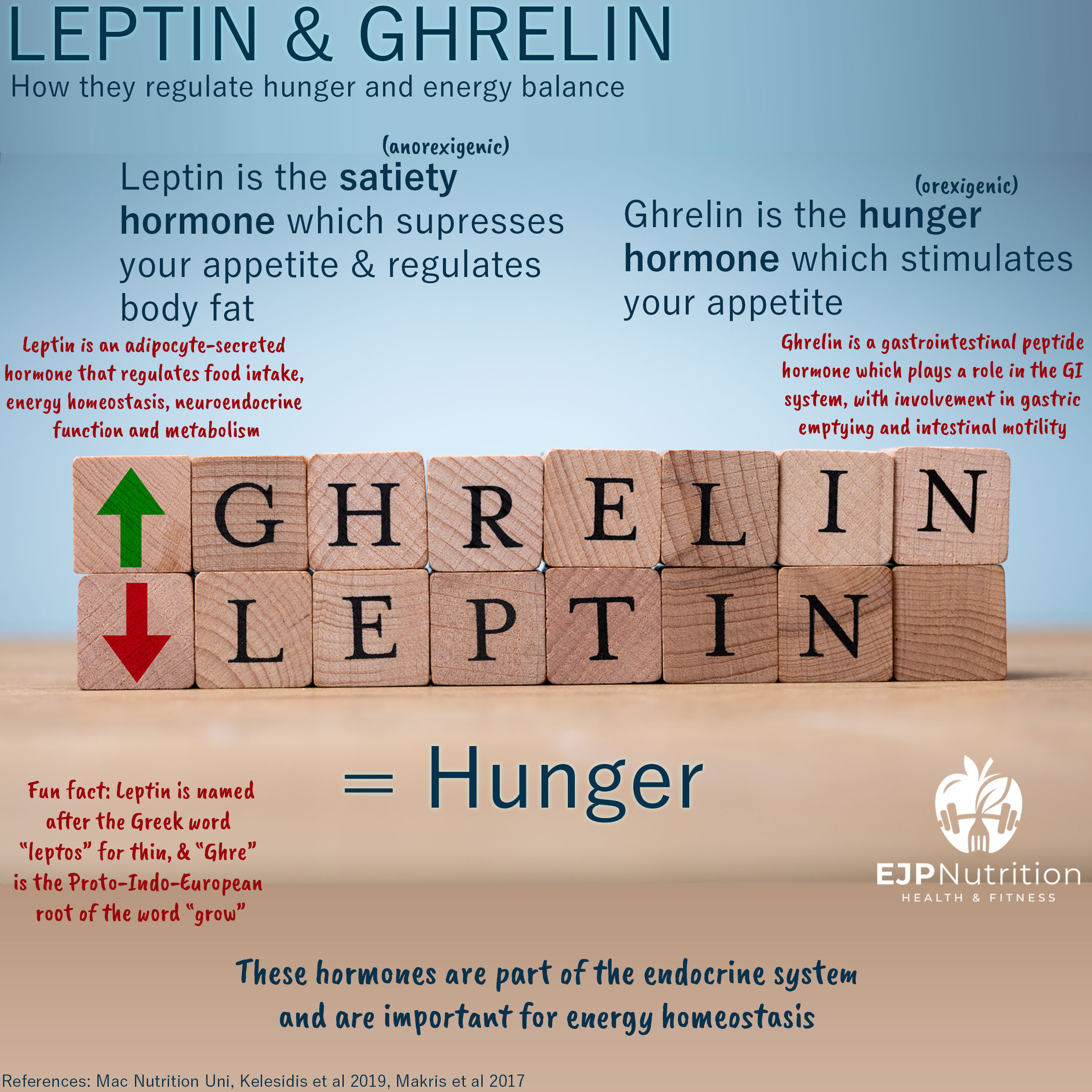 Leptin & Ghrelin | The Hunger Hormones | EJP Nutrition