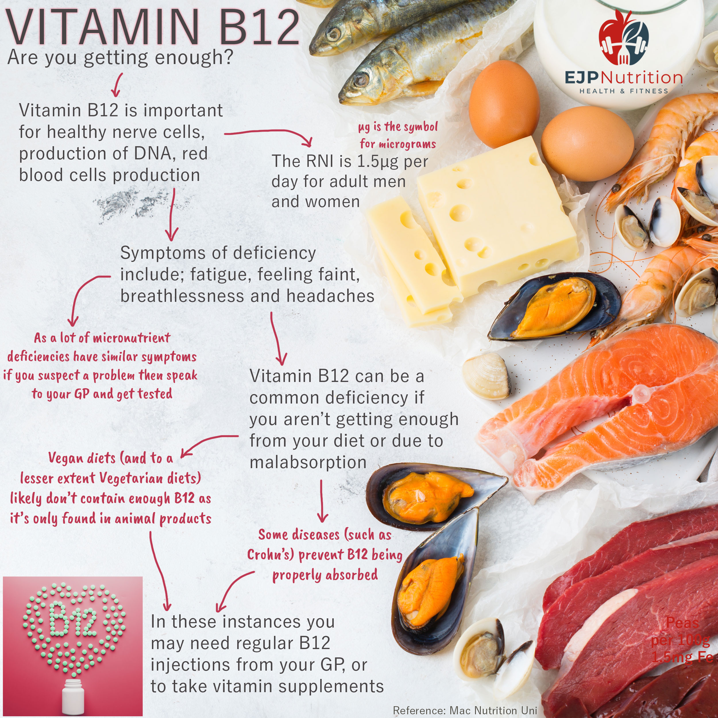 Vitamin B12 | Why is it important? | EJP Nutrition Blog